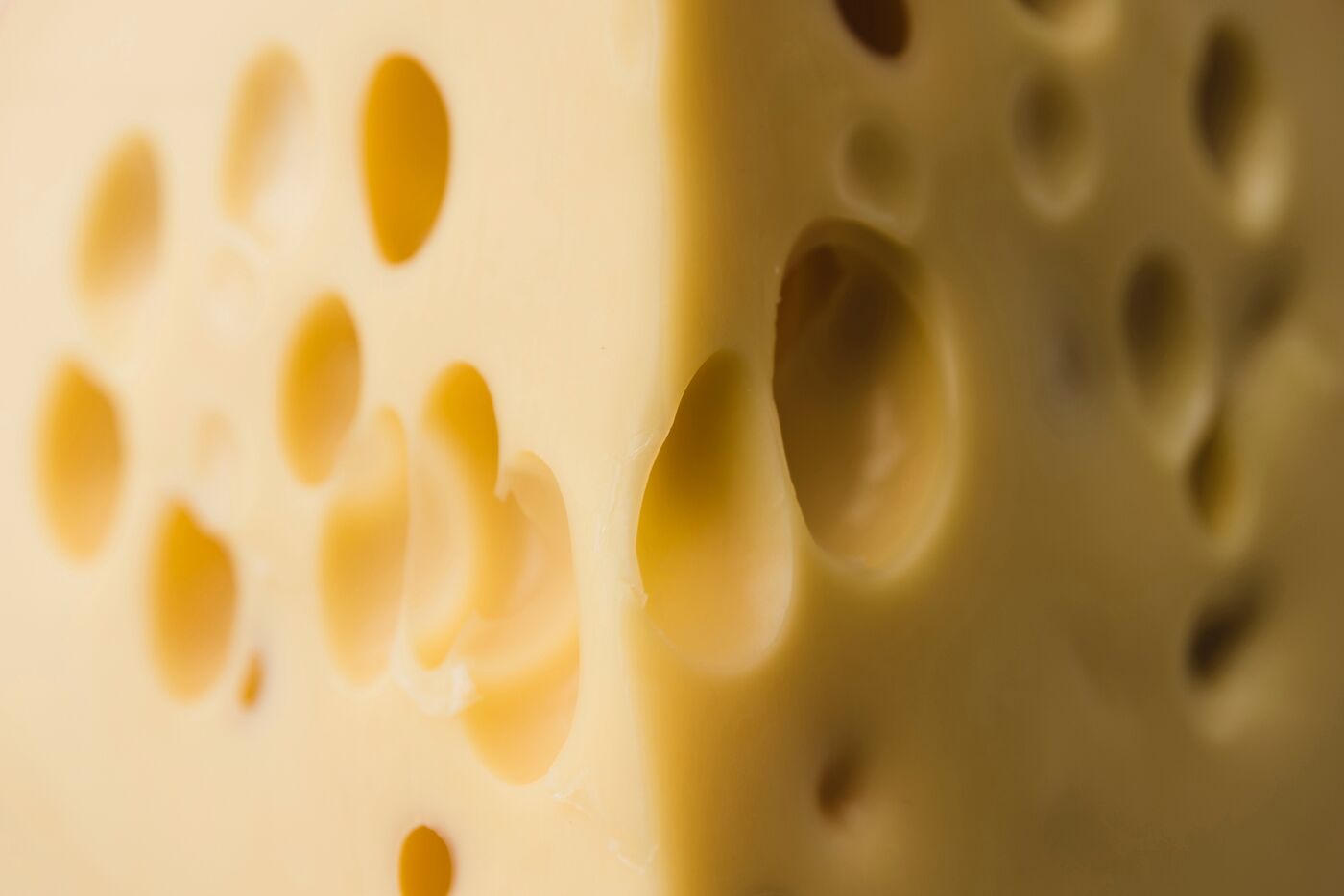 Chemelco | Specialty Food Ingredients